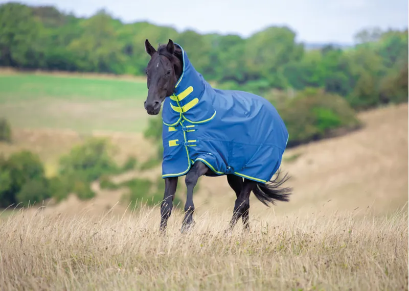 Shires Tempest Original 50g Combo Turnout Rug - BLUE/LIME