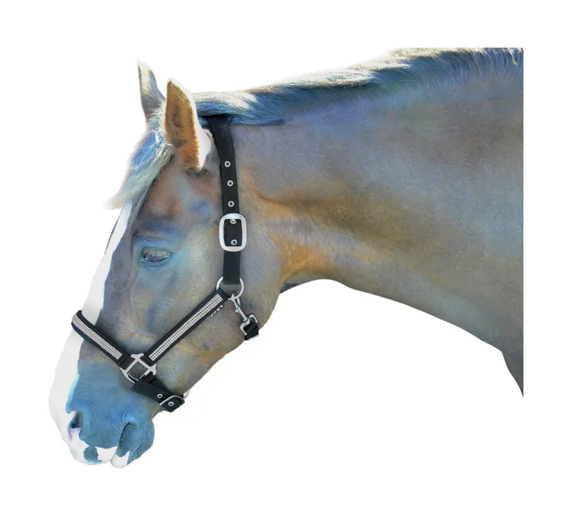 Hy Diamante Headcollar - Black